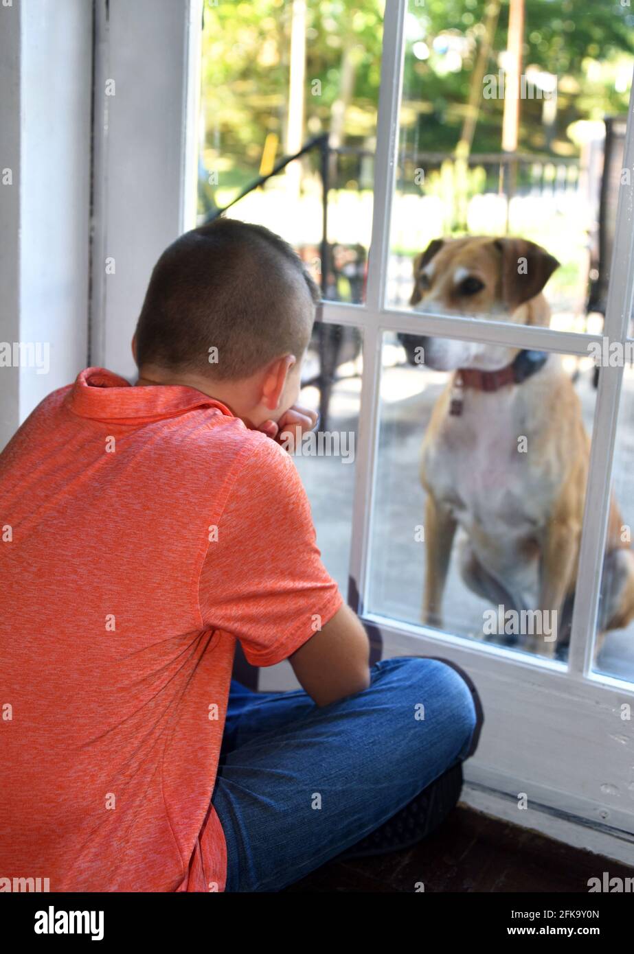Young boy sits sadly looking out the door at his dog. He is sick and ...