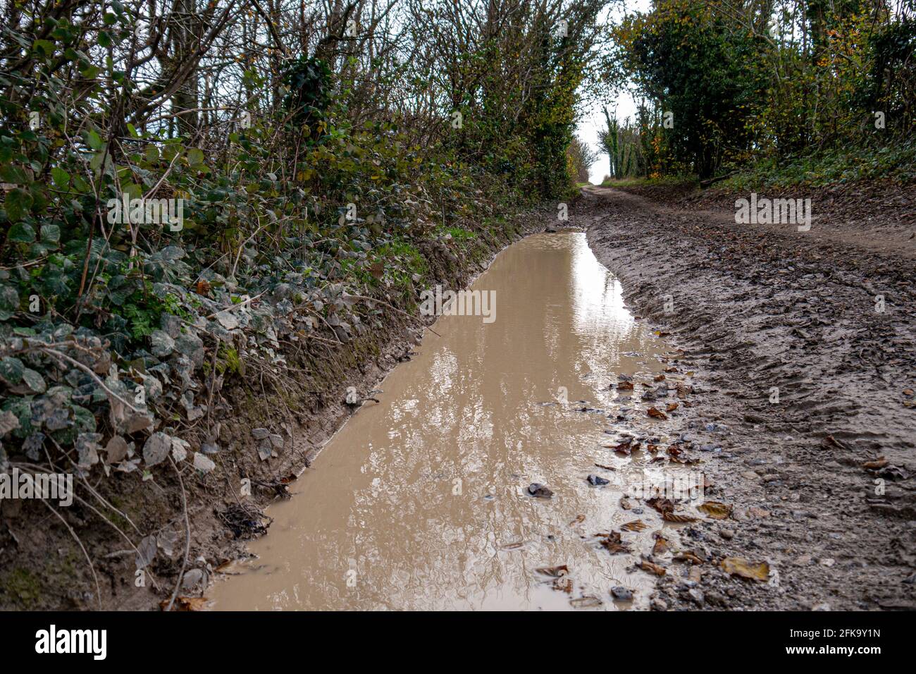 Rain sodden footpath / bridleway / track in the South Downs National ...