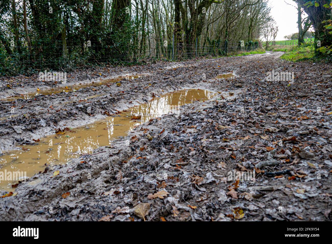 Rain sodden footpath / bridleway / track in the South Downs National ...