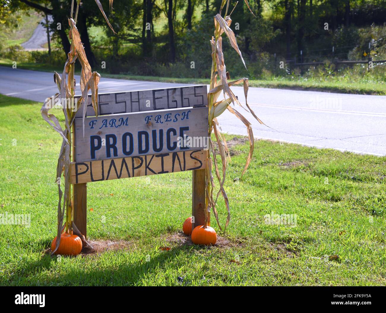 Corn stalks and pumpkins decorate sign advertising fresh eggs and fresh ...