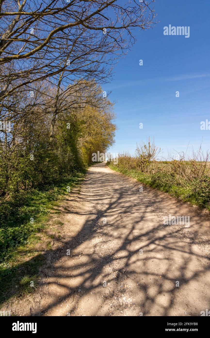 South downs ancient track path hi-res stock photography and images - Alamy