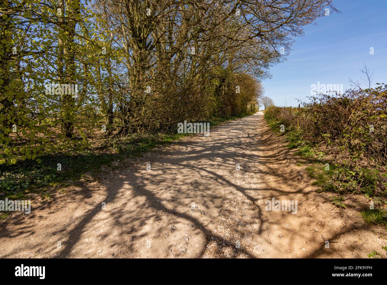 South downs ancient track path hi-res stock photography and images - Alamy