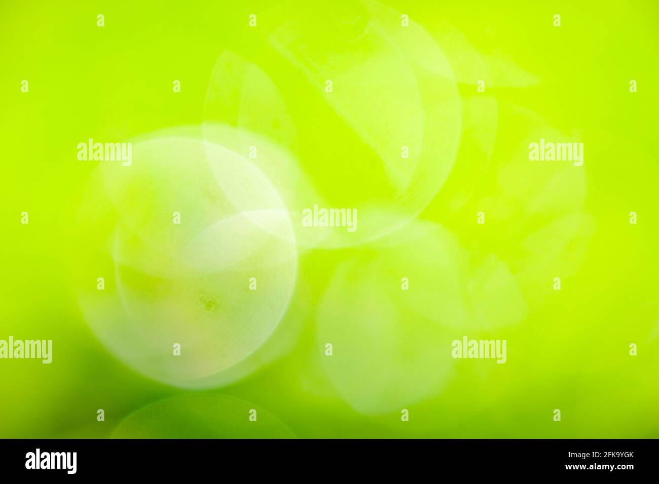 Greenery background hi-res stock photography and images - Alamy