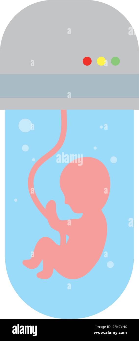 human fetus in a glass container Stock Vector Image & Art - Alamy