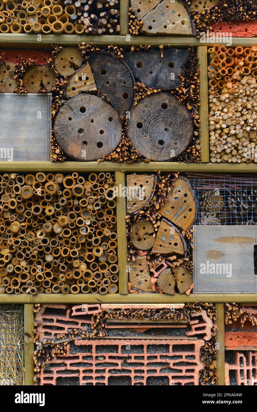 Detail of an insect hotel installed in a public garden, preservation of ...