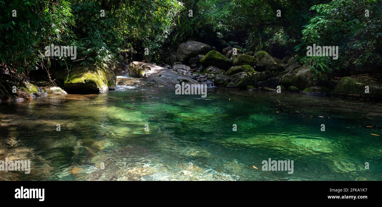 Beautiful crystal clear river water in brazilian rainforest Stock Photo ...