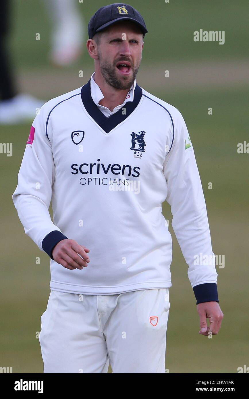 Cricket lamb hi-res stock photography and images - Alamy