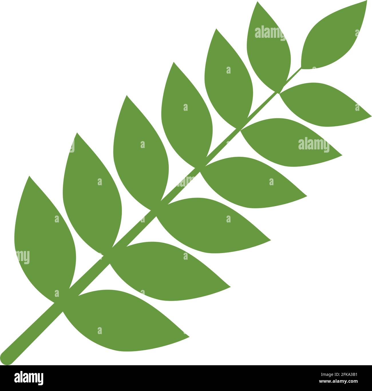 Leaves grow grain Stock Vector Images - Alamy