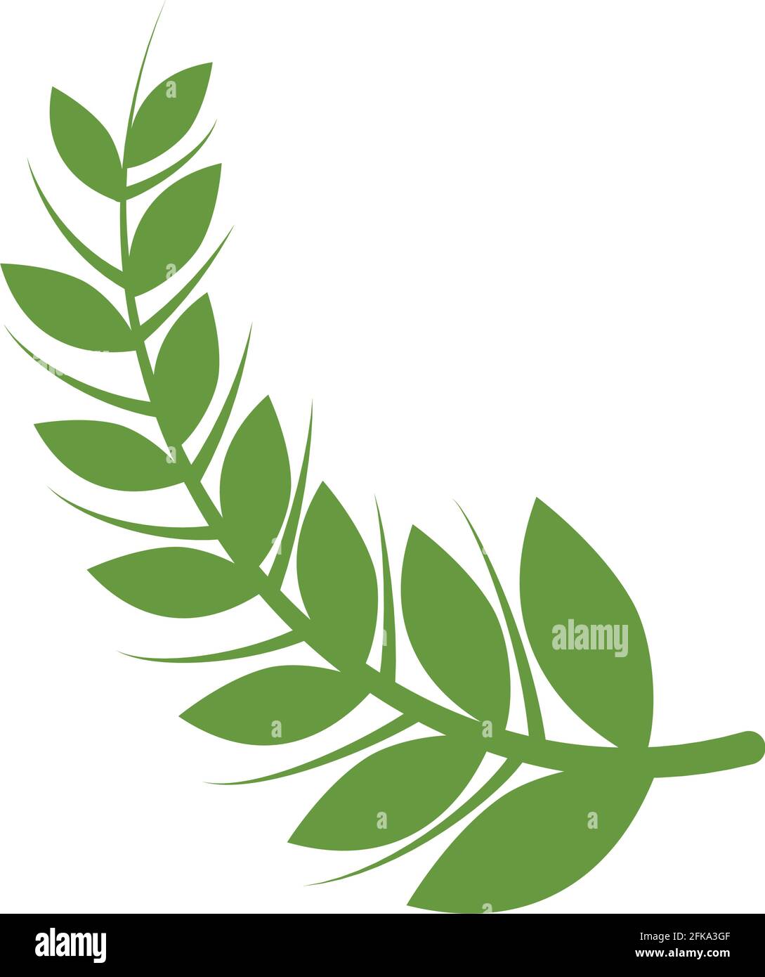 Leaves grow grain Stock Vector Images - Alamy