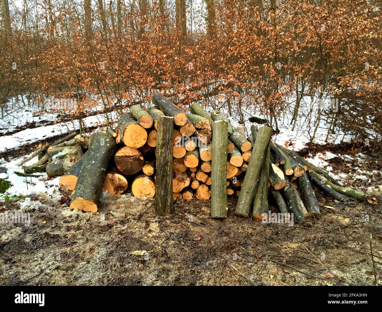 Logs stacked on each other outdoors; winter countryside Stock Photo - Alamy