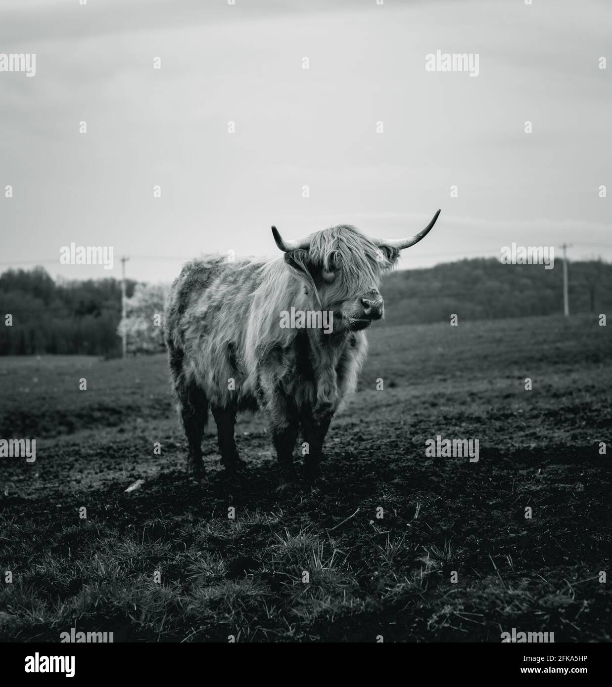 Green erath hi-res stock photography and images - Alamy