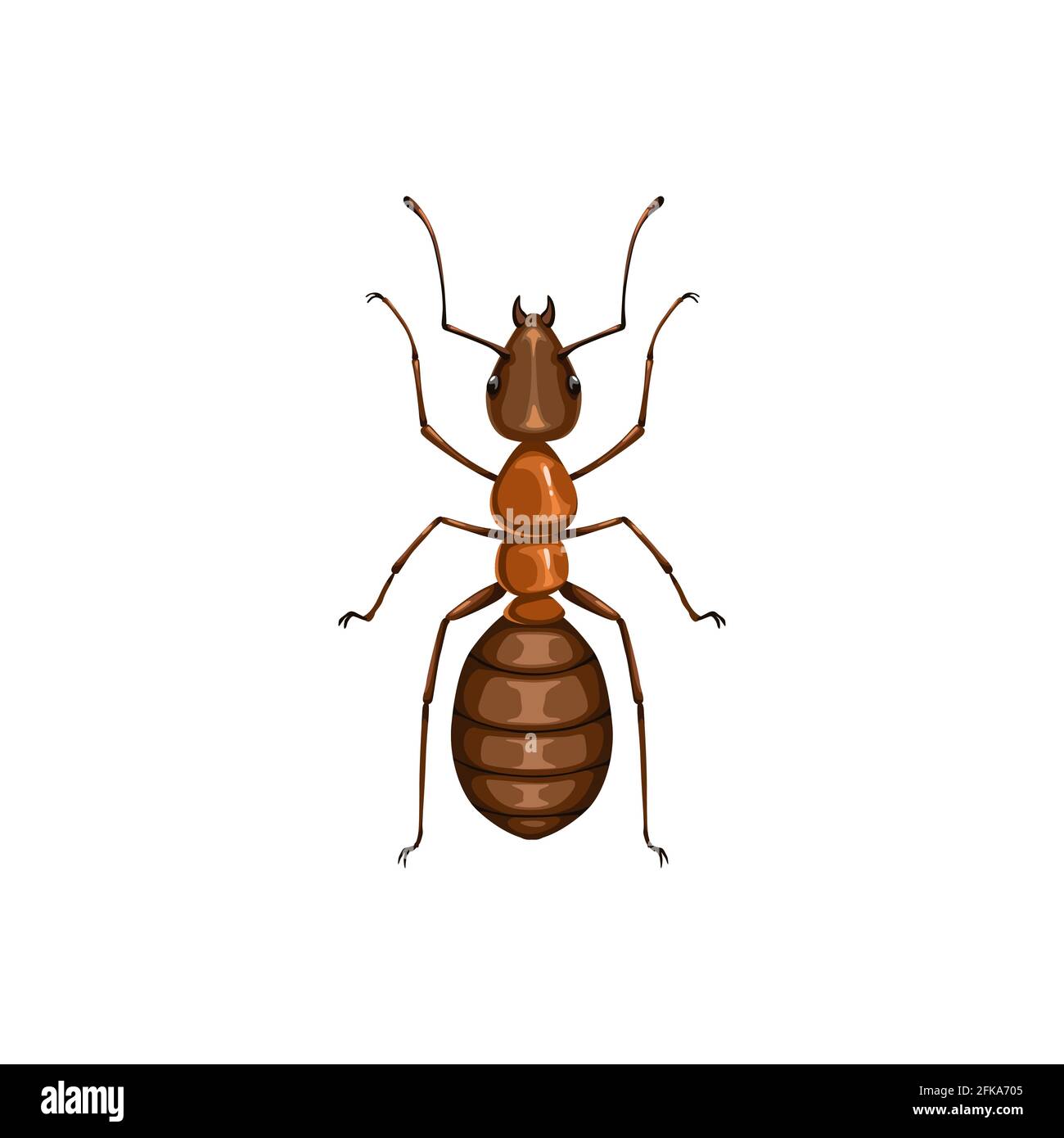 Ant icon, insect pest control, parasites extermination and disinsection ...