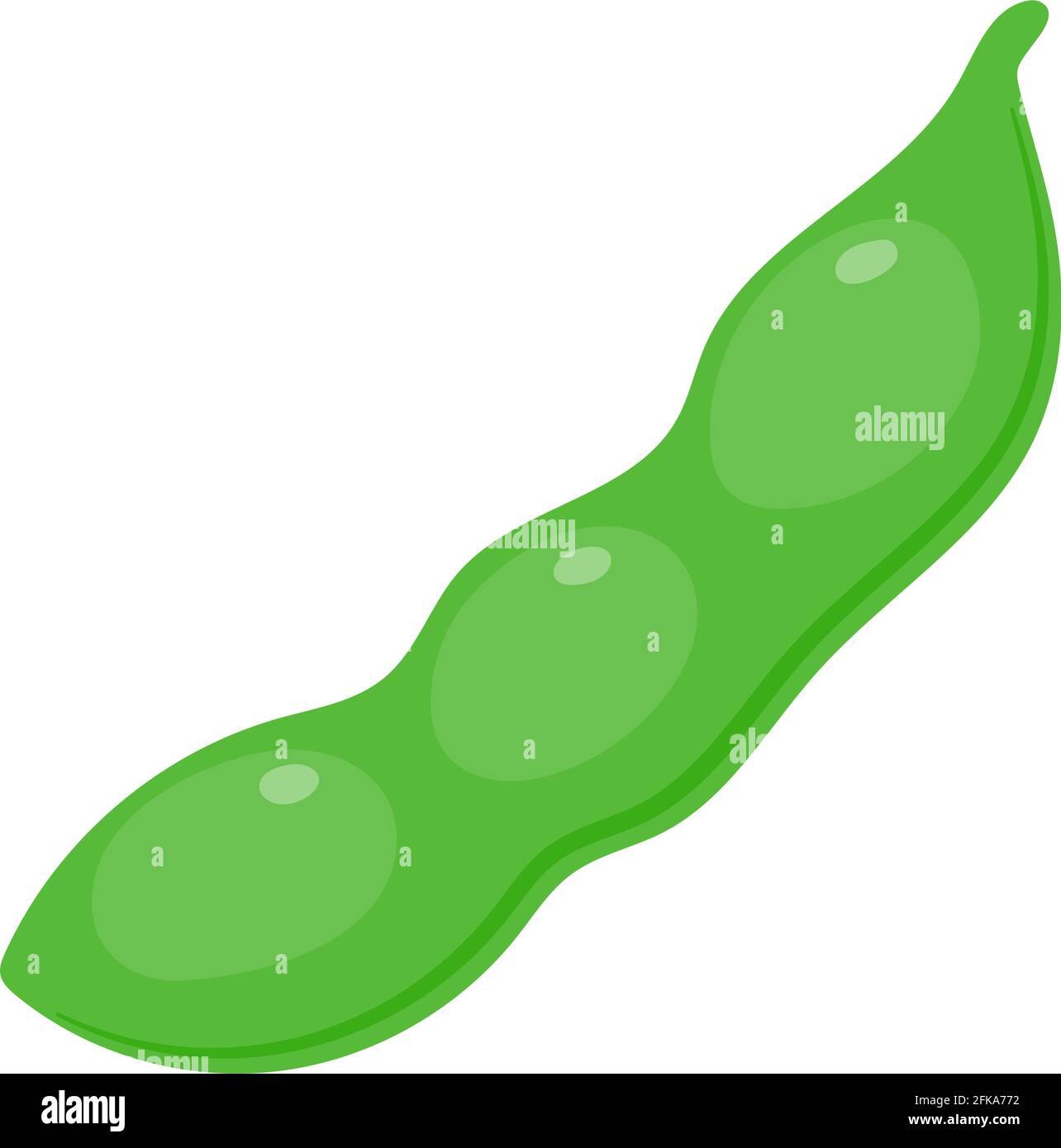 Broad beans.Vector illustration that is easy to edit Stock Vector Image ...