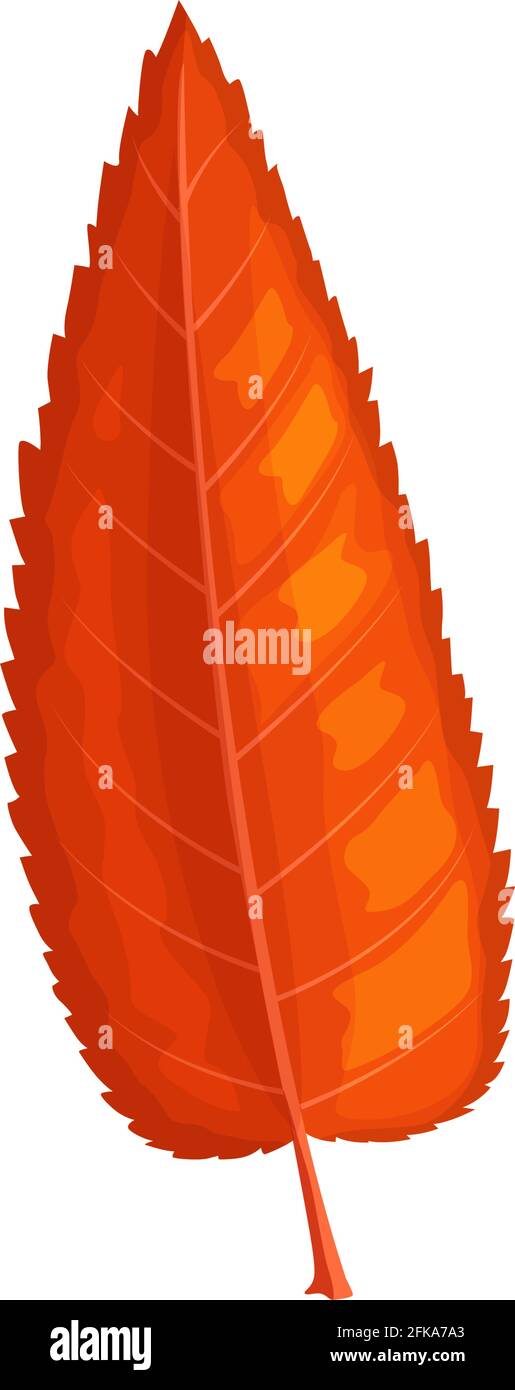 Autumn mountain ash leaf vector icon, cartoon foliage, fallen tree leaf ...