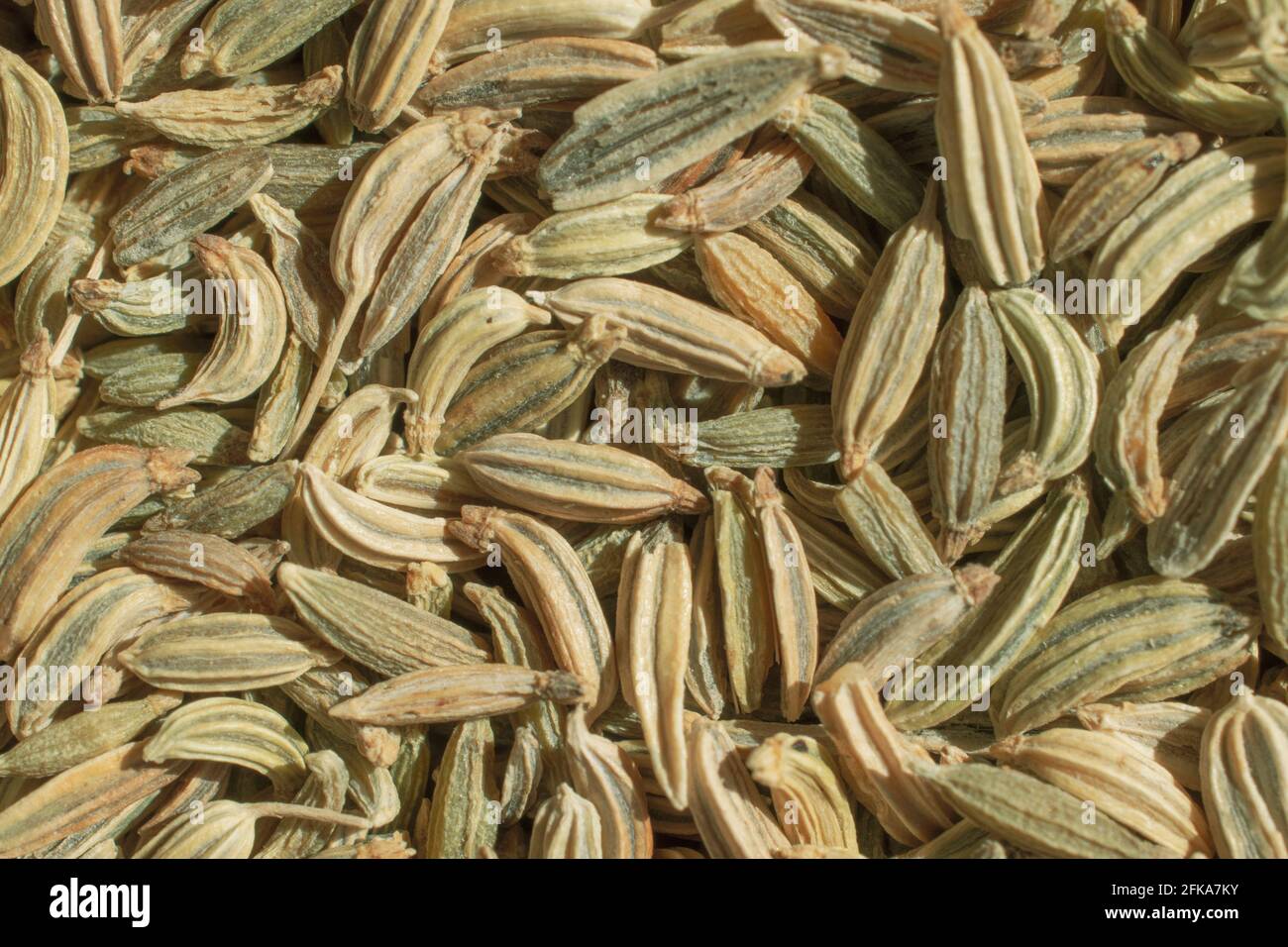 A close-up view of fennel seeds in natural light Stock Photo - Alamy