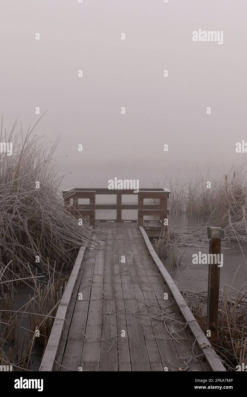 A wildlife viewing dock in the Klamath Wildlife Area in Klamath County ...