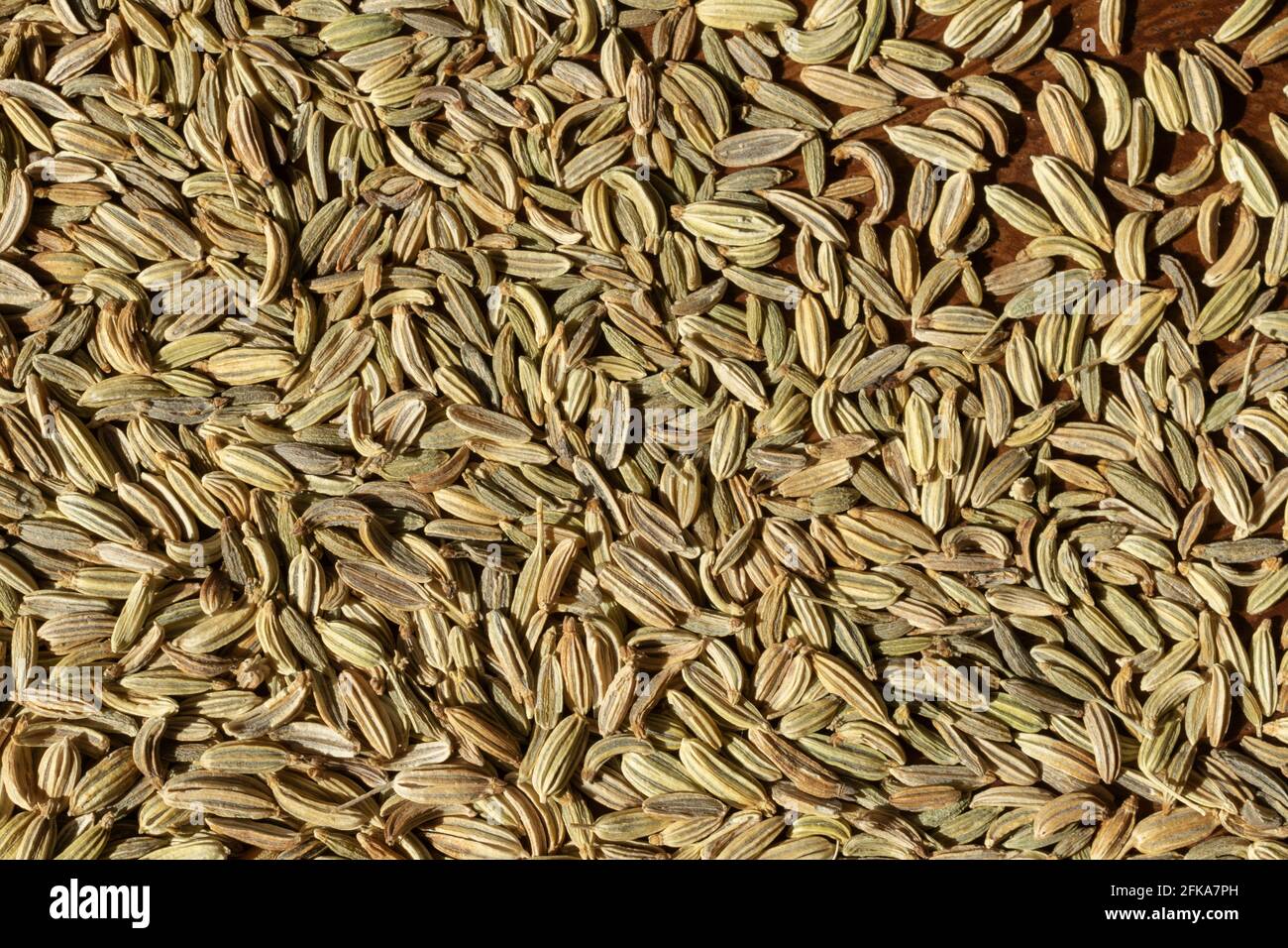 A close-up view of fennel seeds in natural light Stock Photo - Alamy