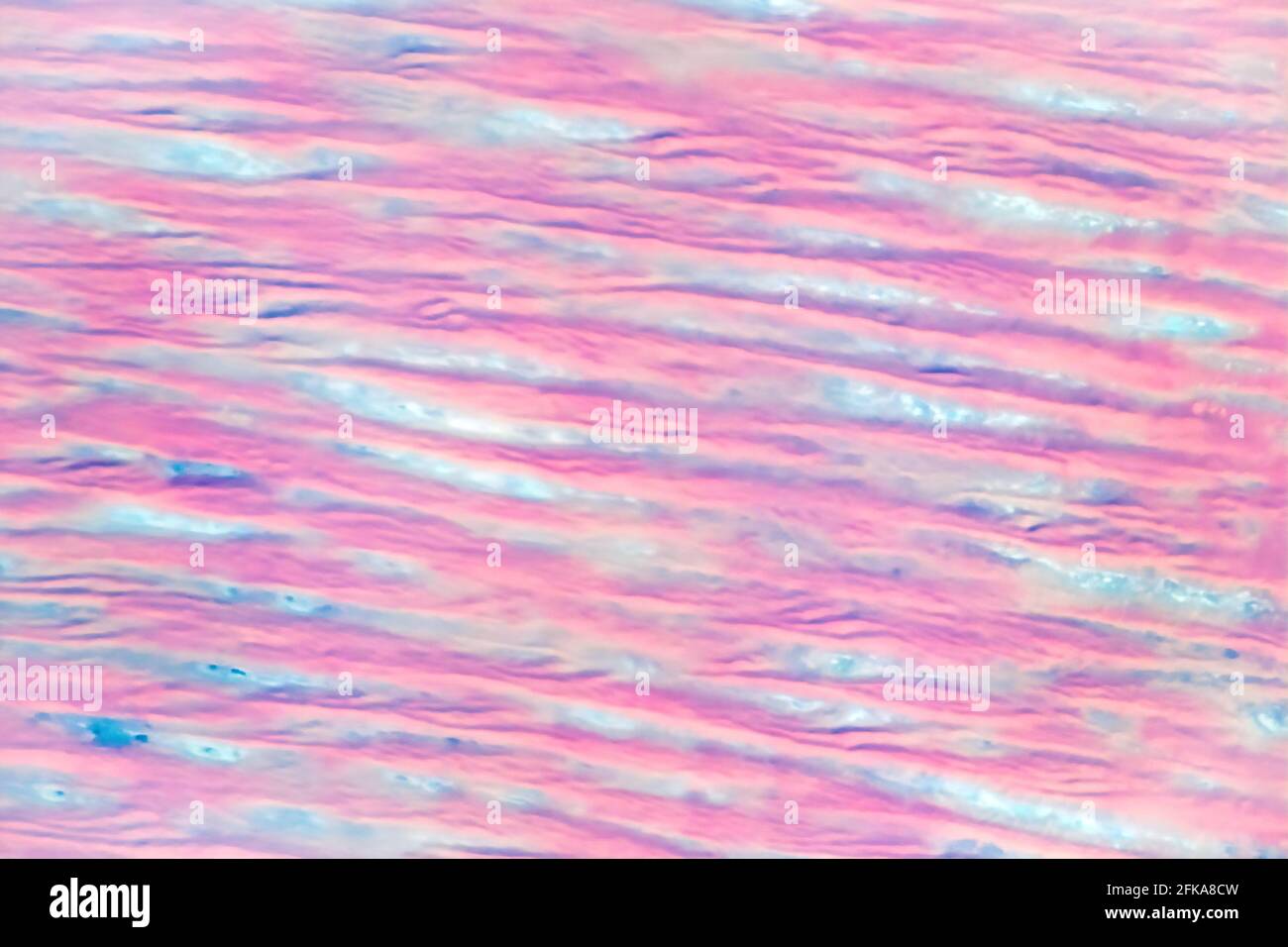 Space Programs and Exploration. For NASA usage guidance: https://www ...