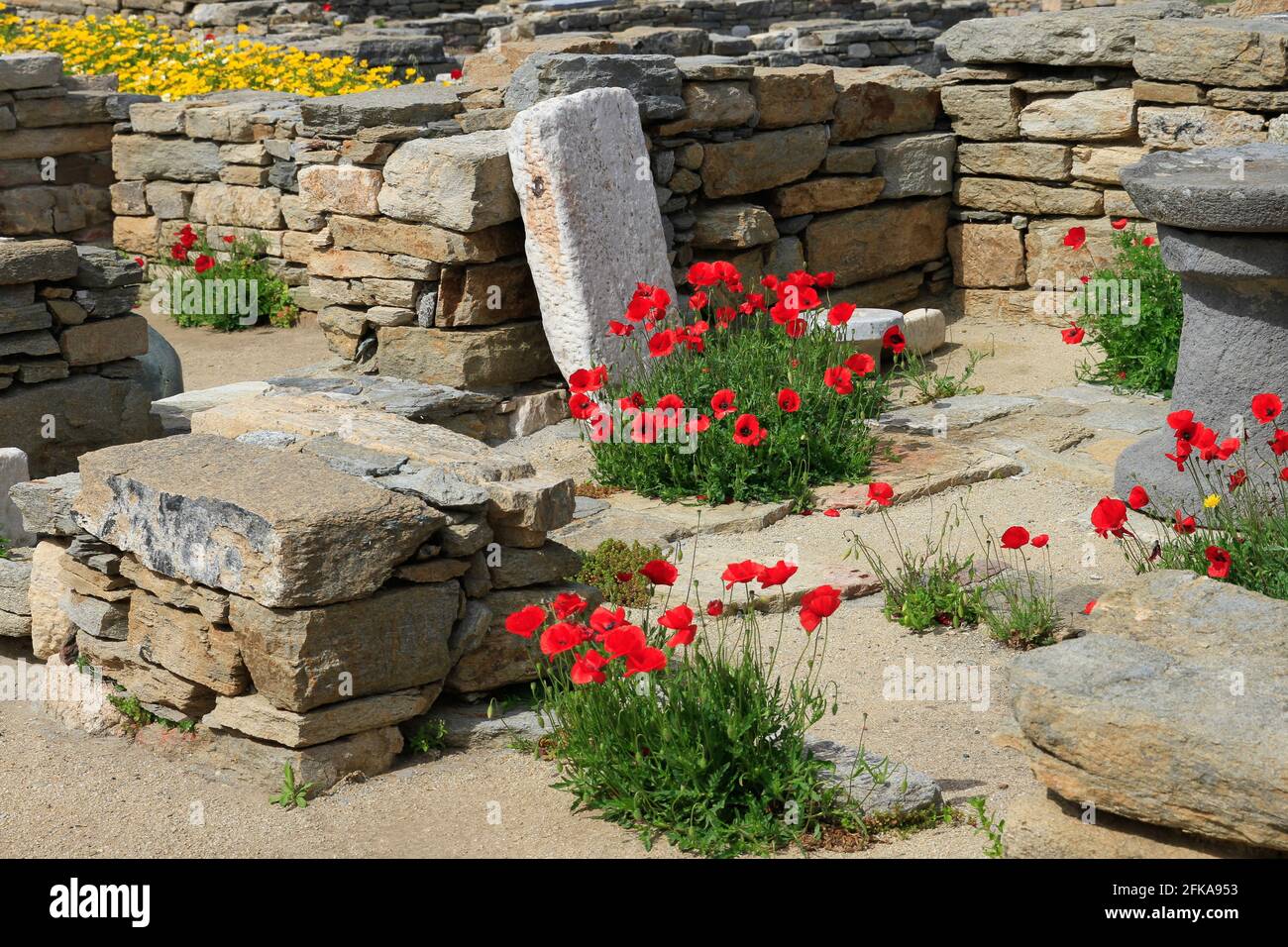 Ancient stone ruins on island of Delos with wildflowers, Cyclades ...