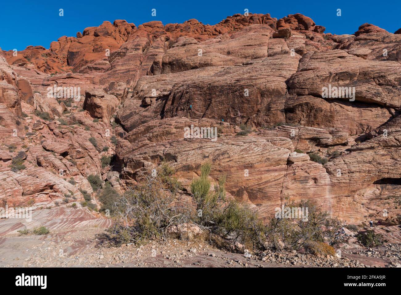 Calico Tanks Trail, Red Rock Canyon National Conservation Area, Nevada ...