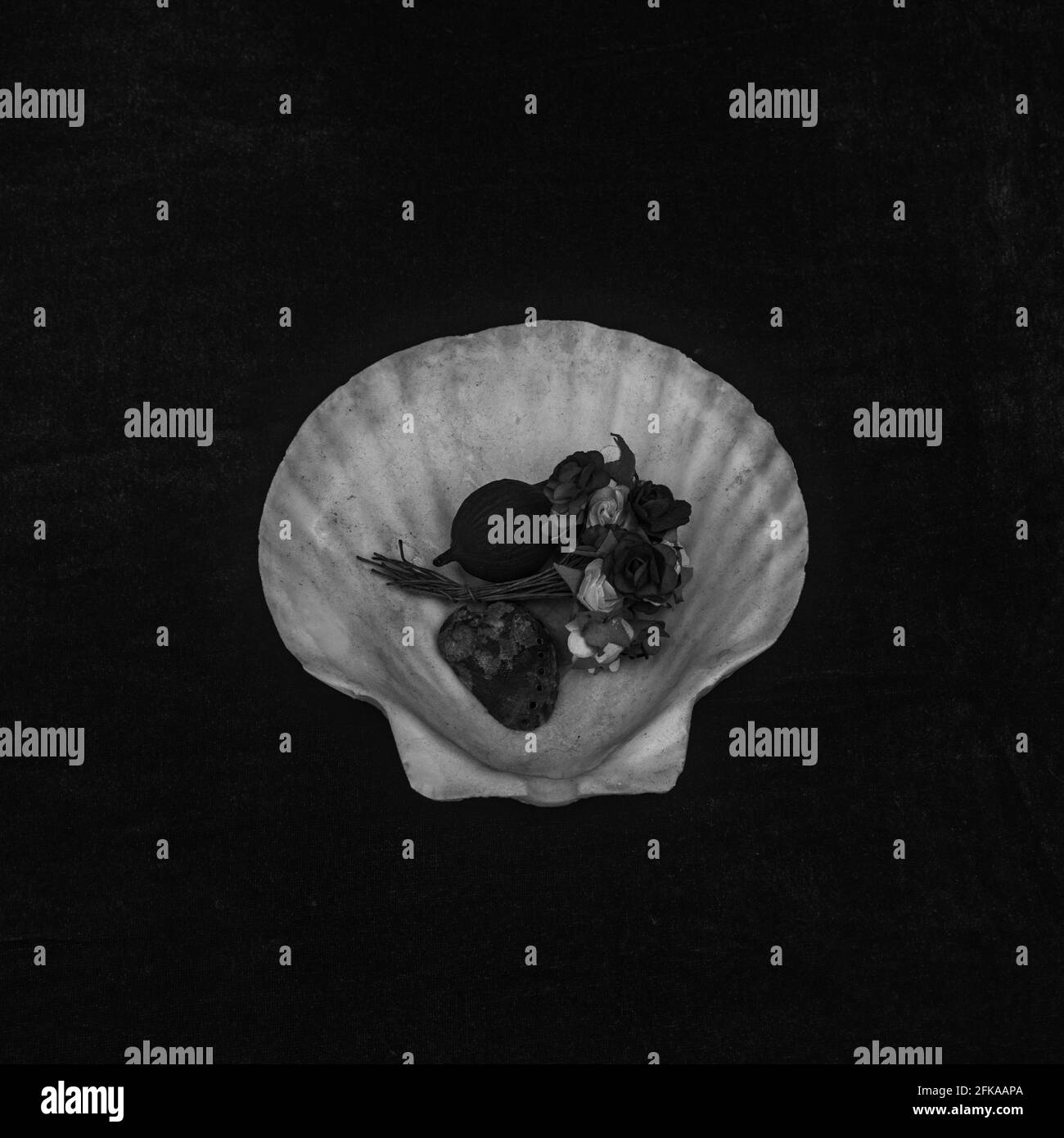 Still life floral vintage Black and White Stock Photos & Images - Alamy