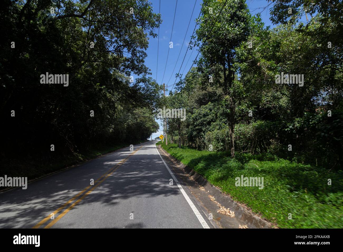 Asphalt road with green vegetation on both sides Stock Photo - Alamy