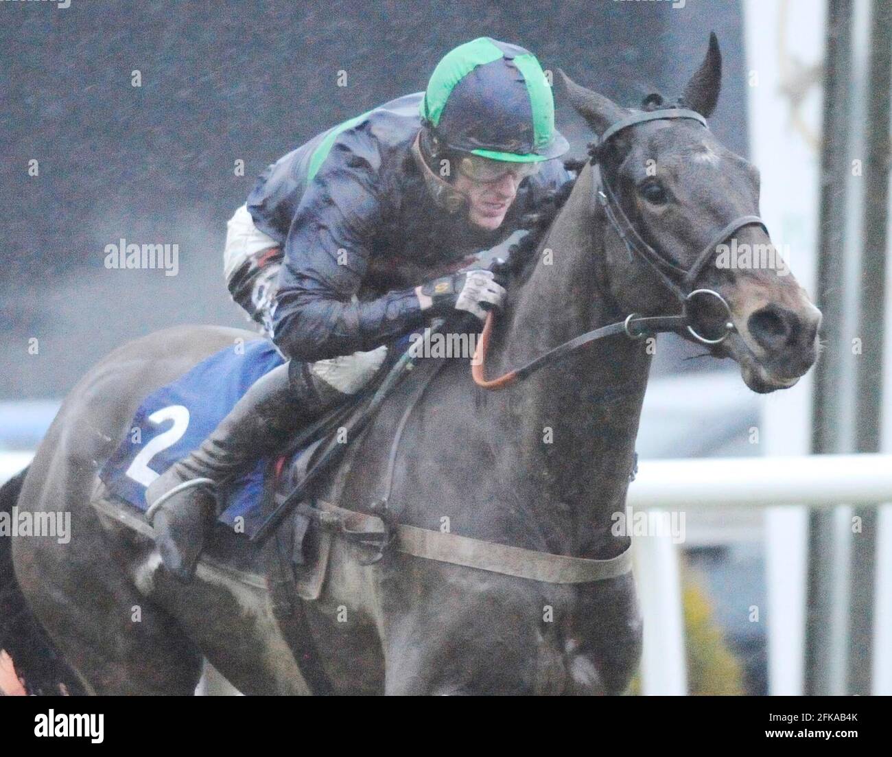 Tony mccoy wins hi-res stock photography and images - Alamy