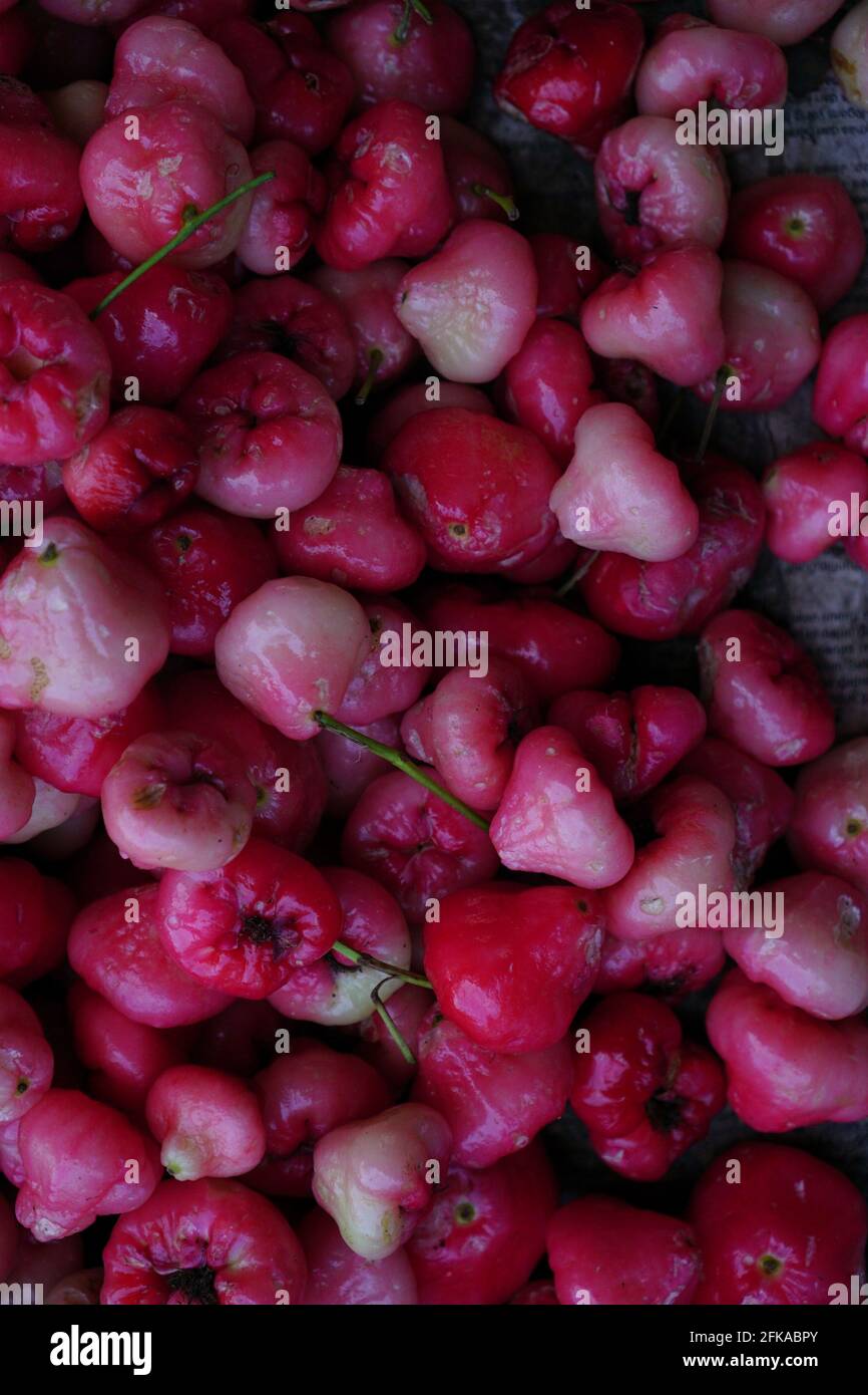 The pile of water guava fruit is bright pink Stock Photo - Alamy