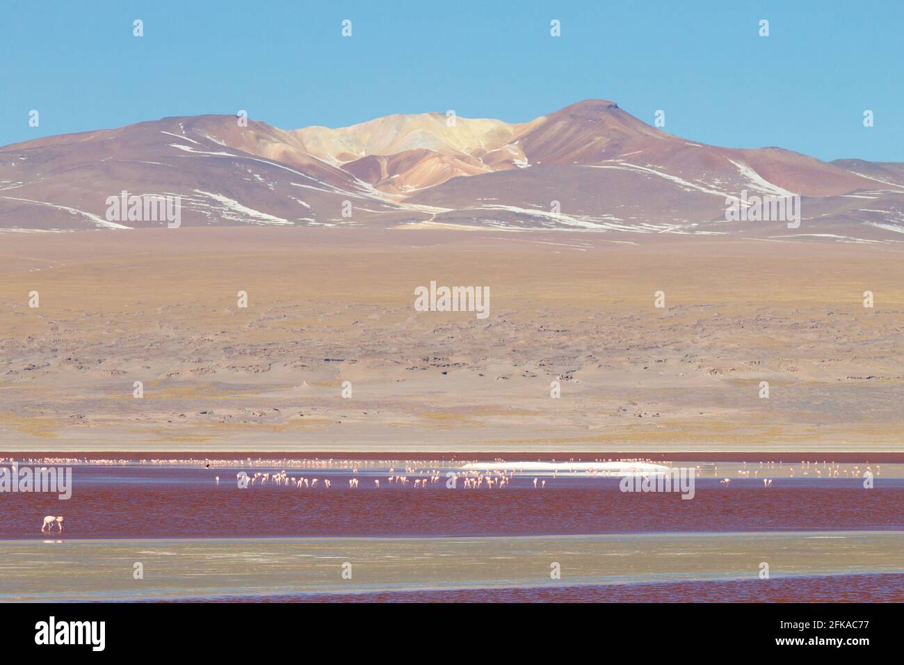 Laguna Colorada landscape,Bolivia. Beautiful bolivian panorama. Red ...
