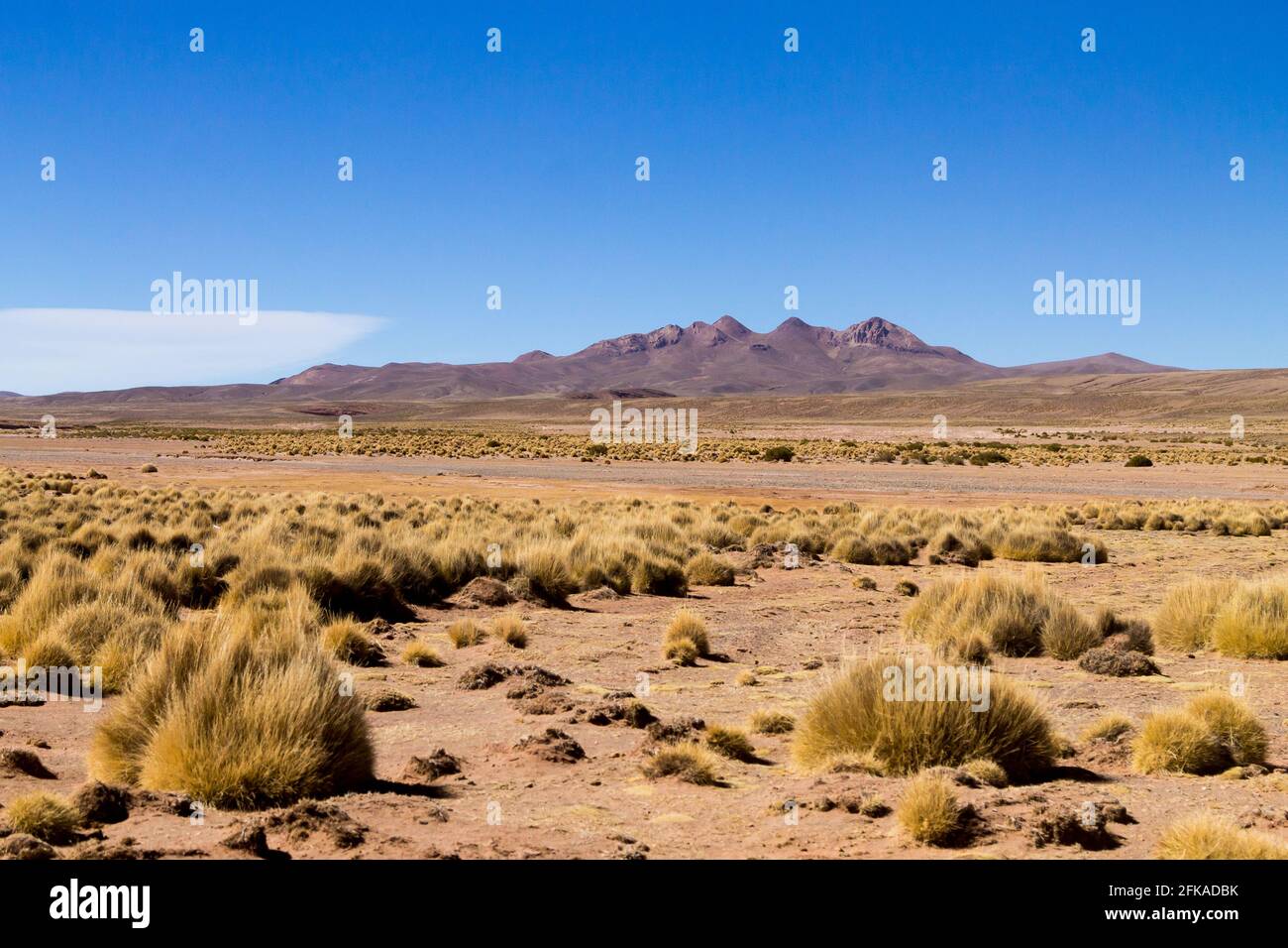 Bolivian mountains landscape,Bolivia.Andean plateau view Stock Photo ...