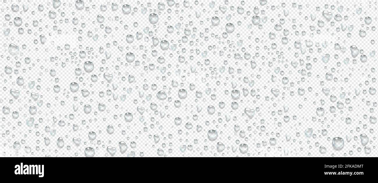 Condensation water drops on transparent background. Rain droplets with light reflection on ...