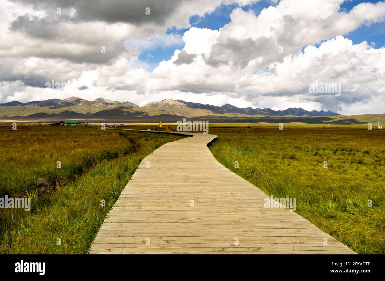 Zoige grasslands hi-res stock photography and images - Alamy