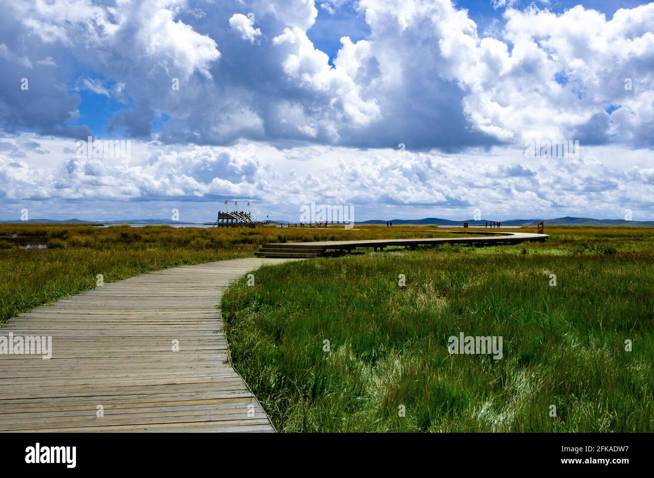 Zoige grasslands hi-res stock photography and images - Alamy