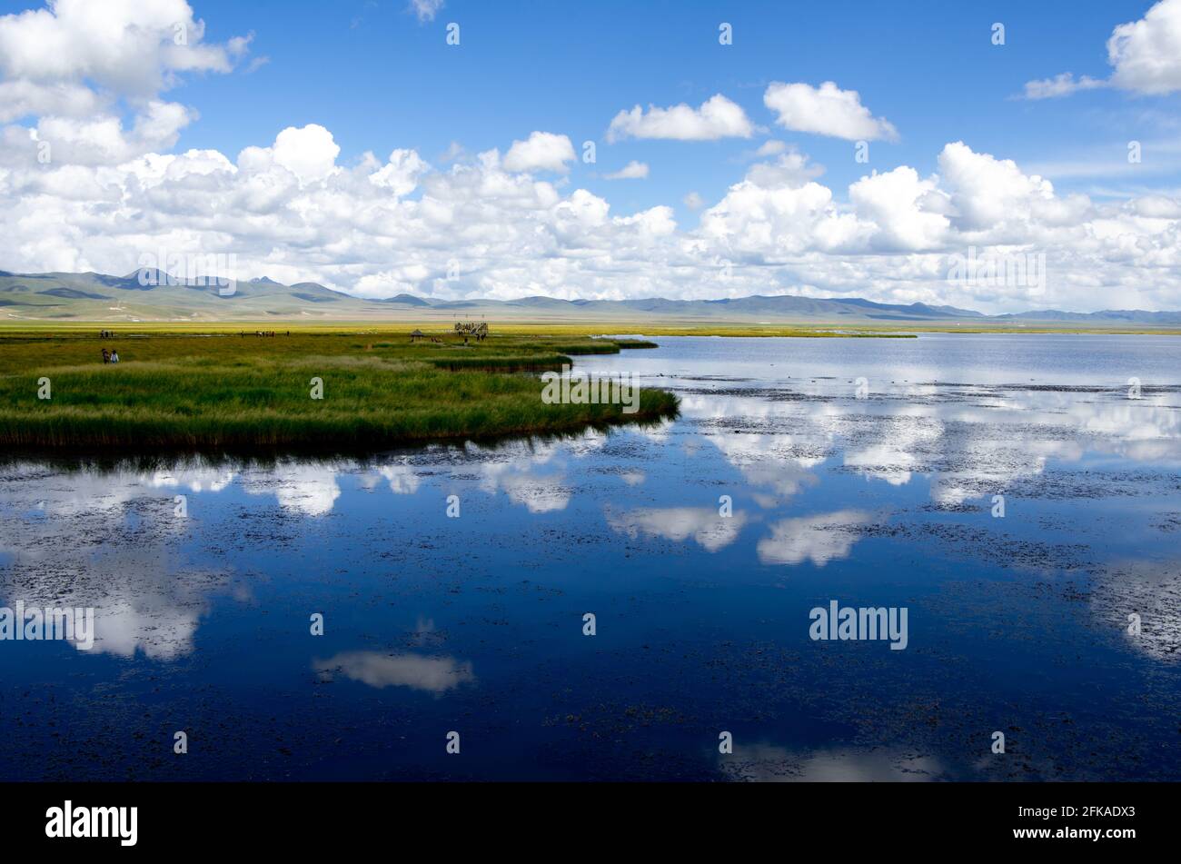Zoige grasslands hi-res stock photography and images - Alamy