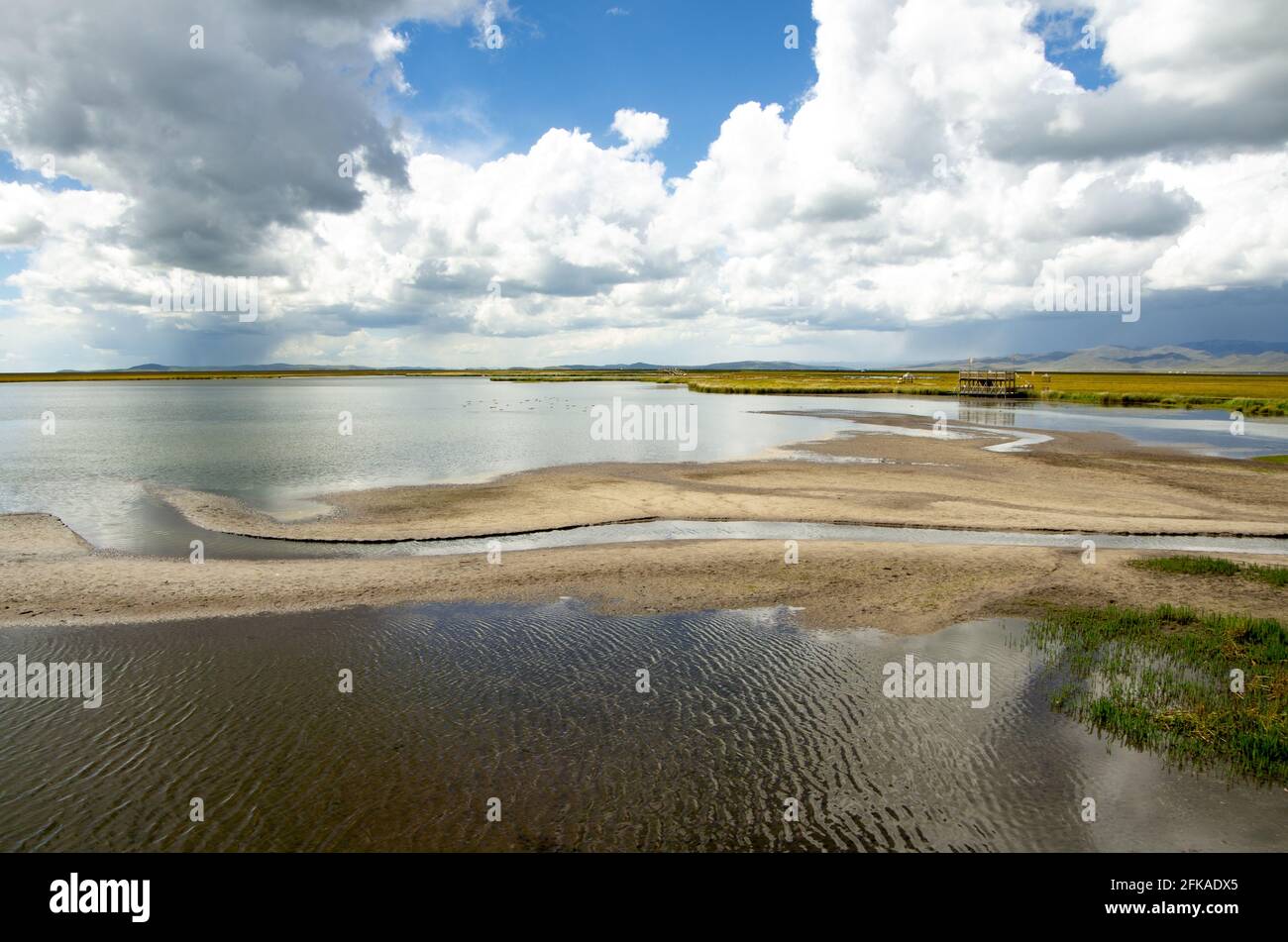 Zoige grasslands hi-res stock photography and images - Alamy