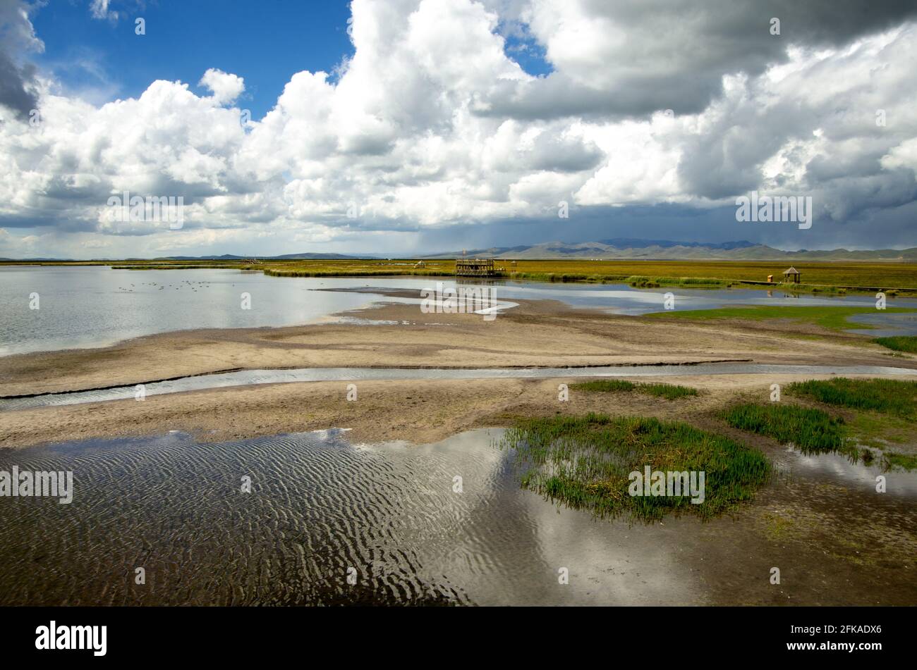 Zoige grasslands hi-res stock photography and images - Alamy