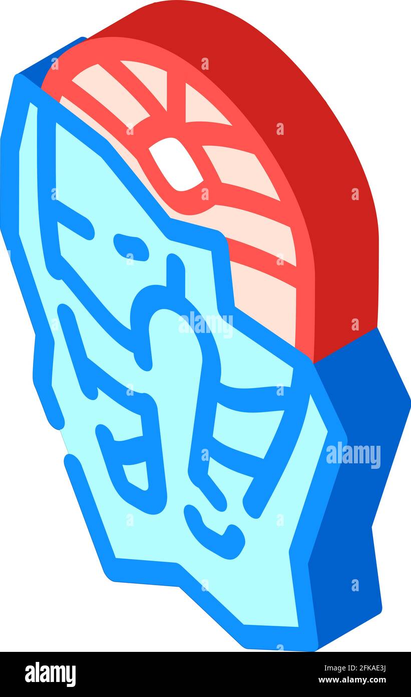 frozen fish isometric icon vector illustration Stock Vector Image & Art ... frozen fish isometric icon vector illustration Stock Vector Image & Art ...