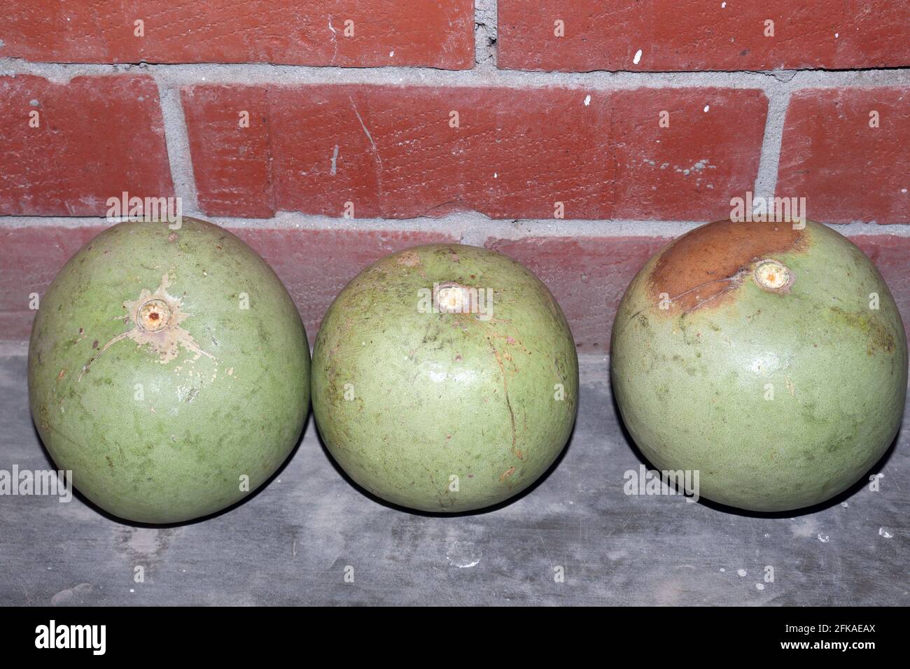 green colored ripe wood apple stock on shop for sell Stock Photo - Alamy