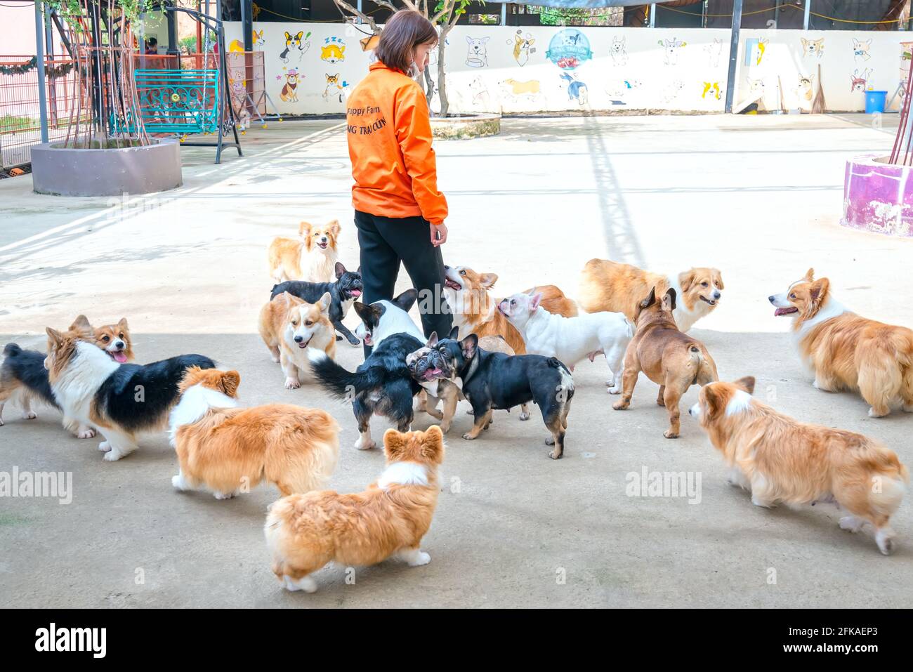 Puppy farm hi-res stock photography and images - Alamy