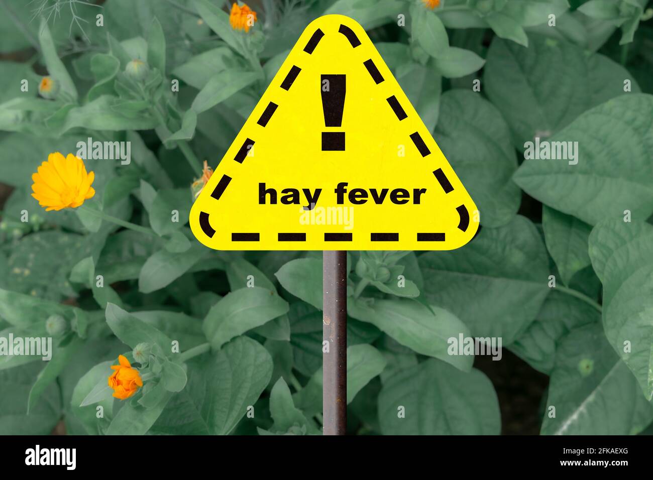 hay fever sign on a flowering background Stock Photo - Alamy