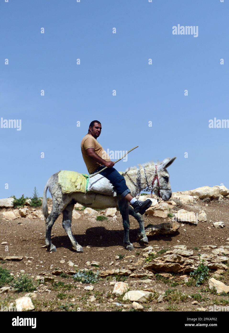 Man Riding A Donkey High Resolution Stock Photography and Images - Alamy