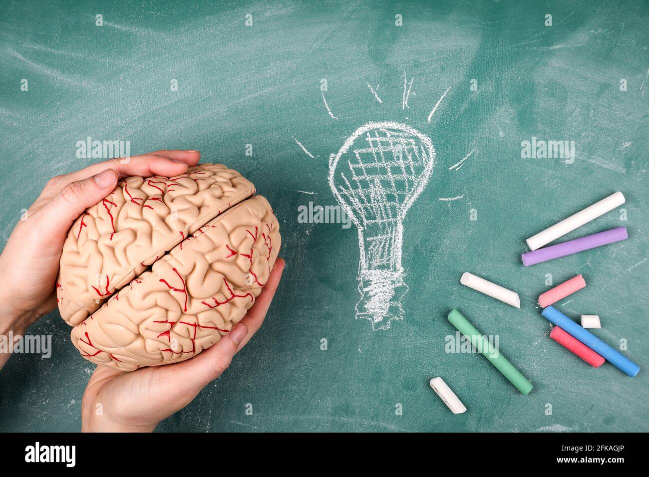 Idea, Knowledge and Skills concept. Brain model and light bulb on a ...