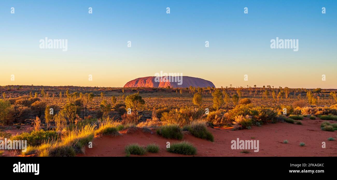 Uluru at sunrise Stock Photo - Alamy