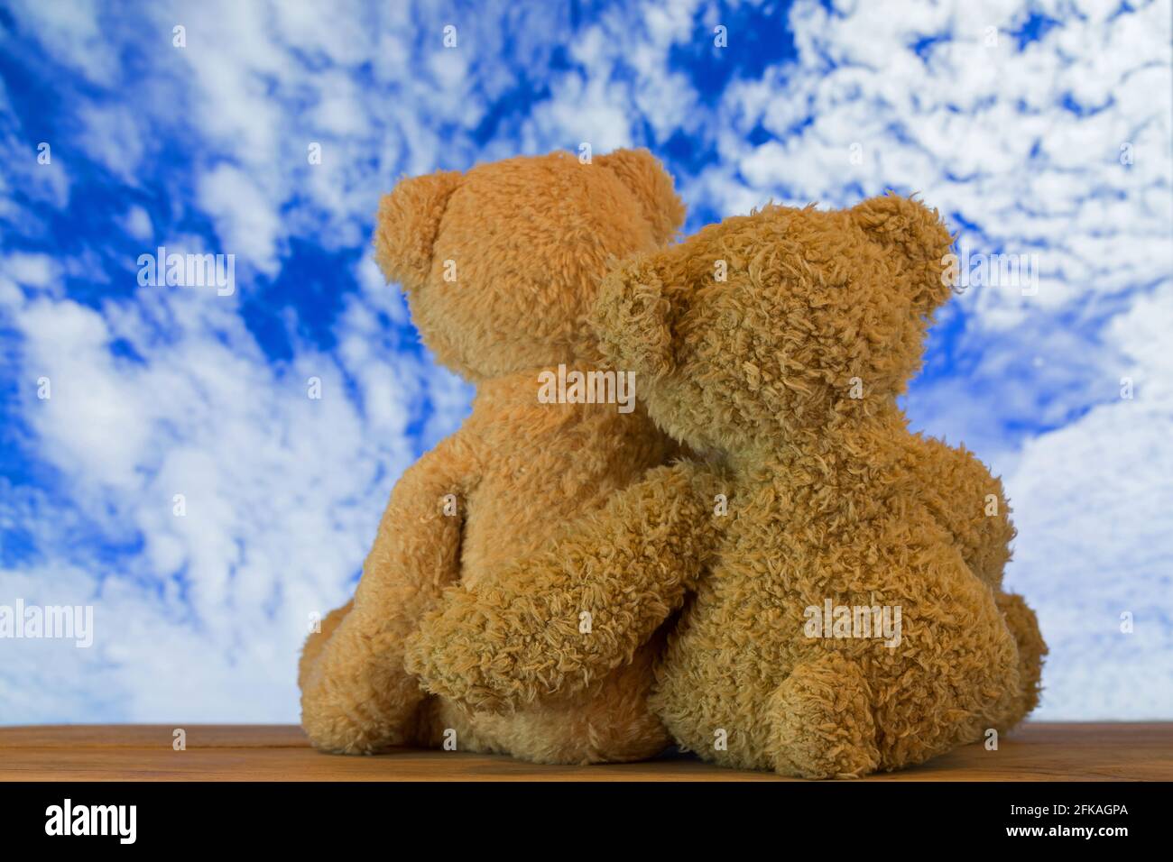 Back Of A Couple Cute Brown Bears Sitting On Wood Hugging Each Other