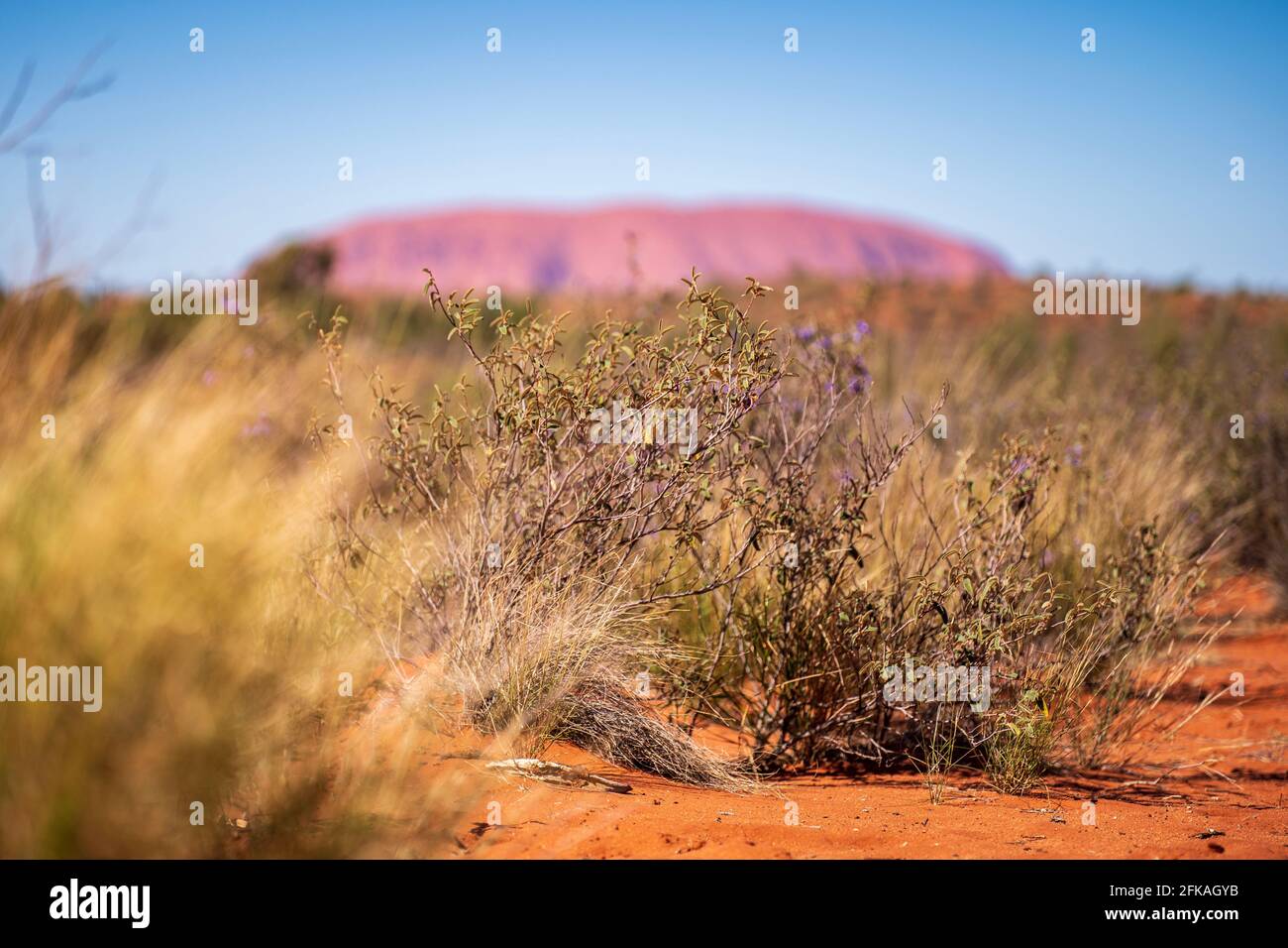 Aboriginal background hi-res stock photography and images - Alamy