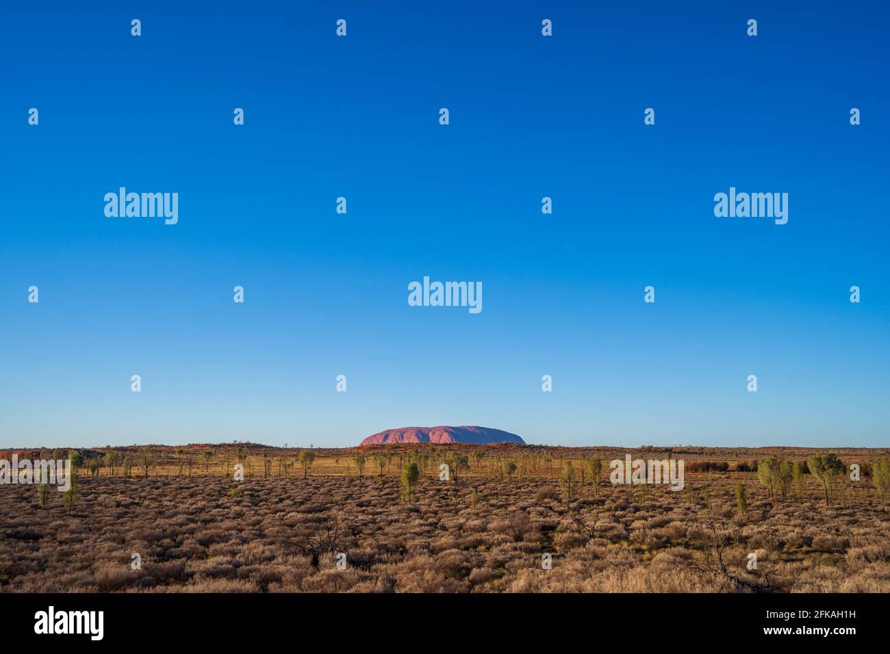 Uluru in the early morning Stock Photo - Alamy