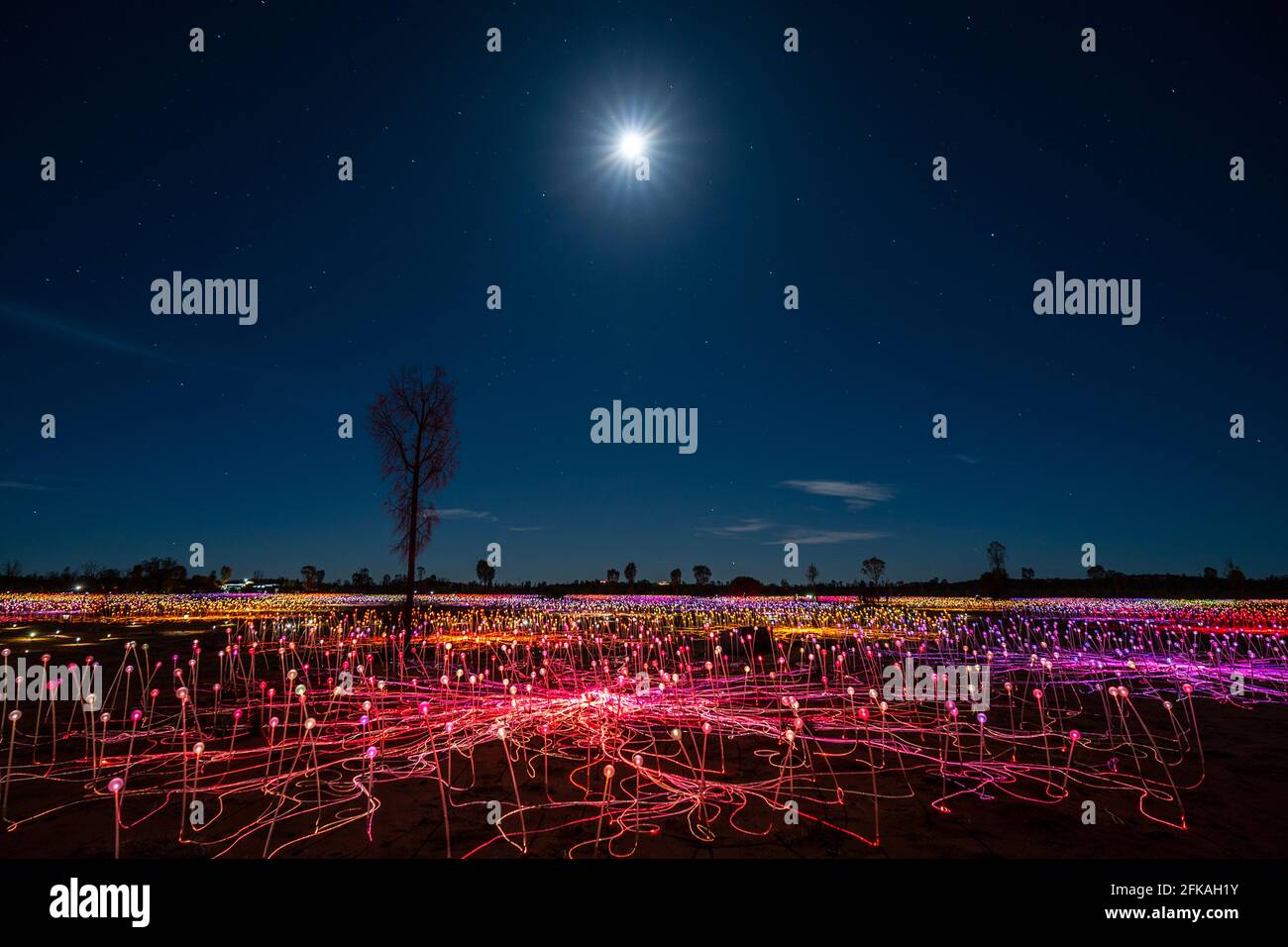Field of light uluru australia hi-res stock photography and images - Alamy