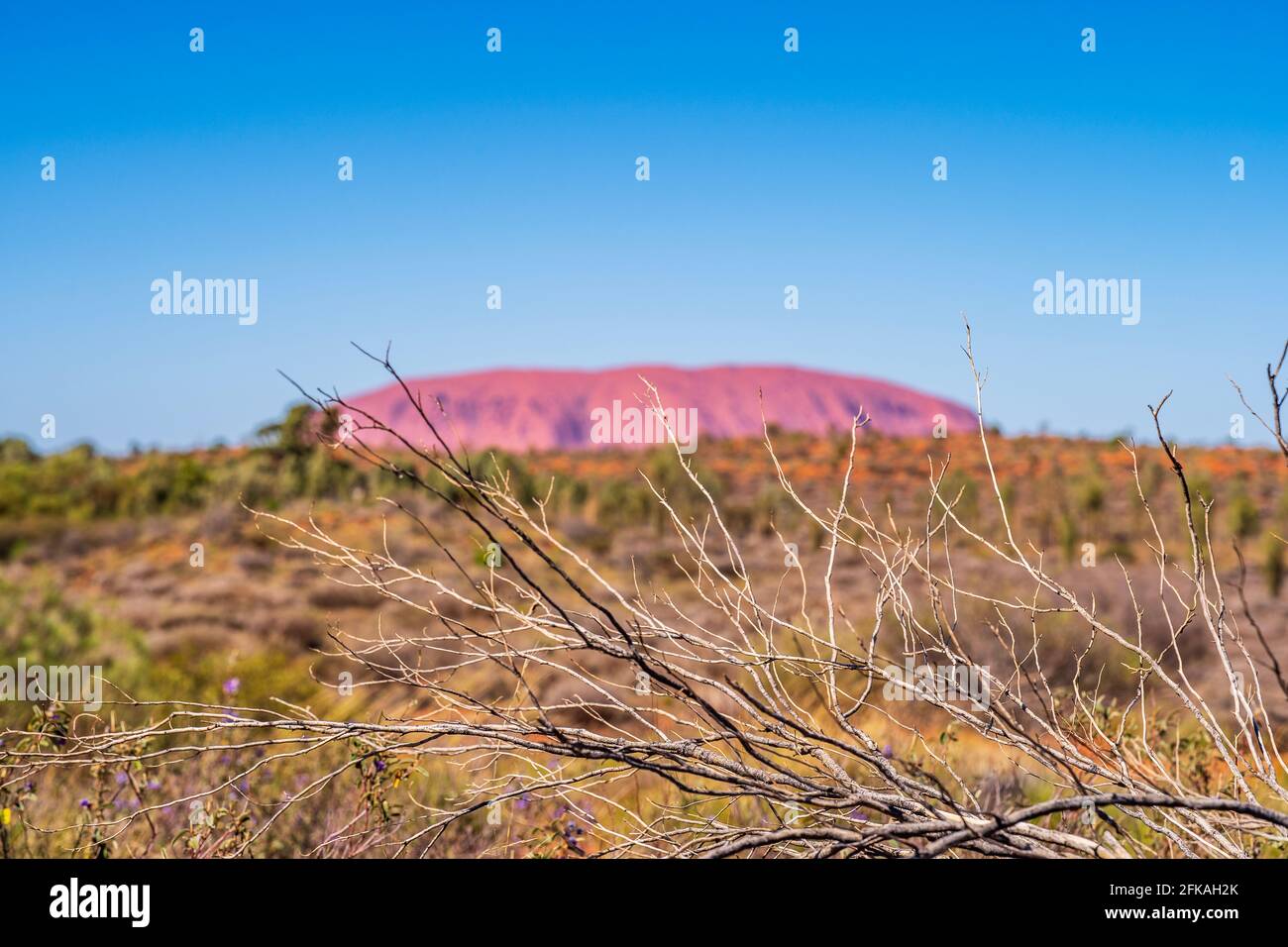 Aboriginal background hi-res stock photography and images - Alamy