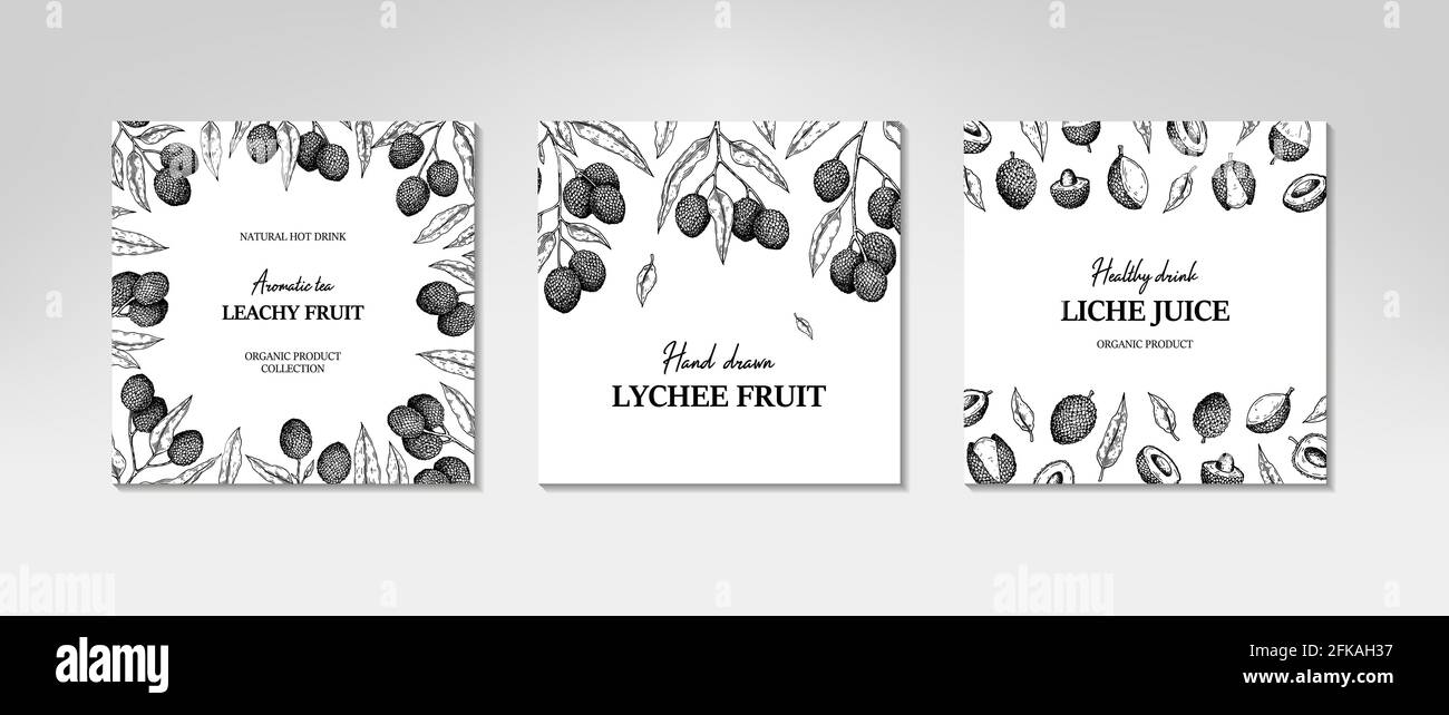 Litchi tree Stock Vector Images - Alamy