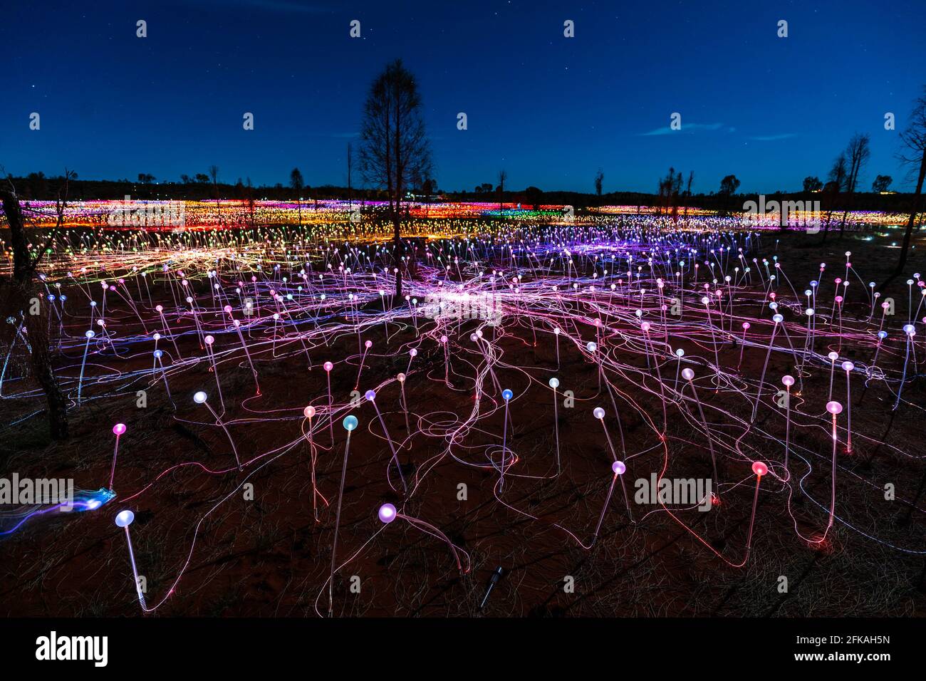Field of Light at Uluru Stock Photo - Alamy